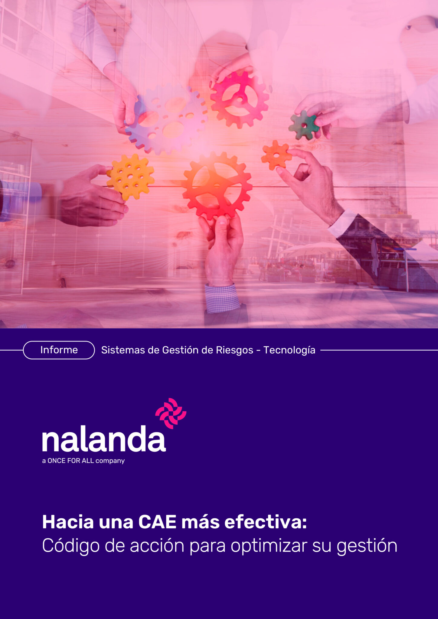 Hacia una CAE más efectiva; código de acción para optimizar su gestión ...